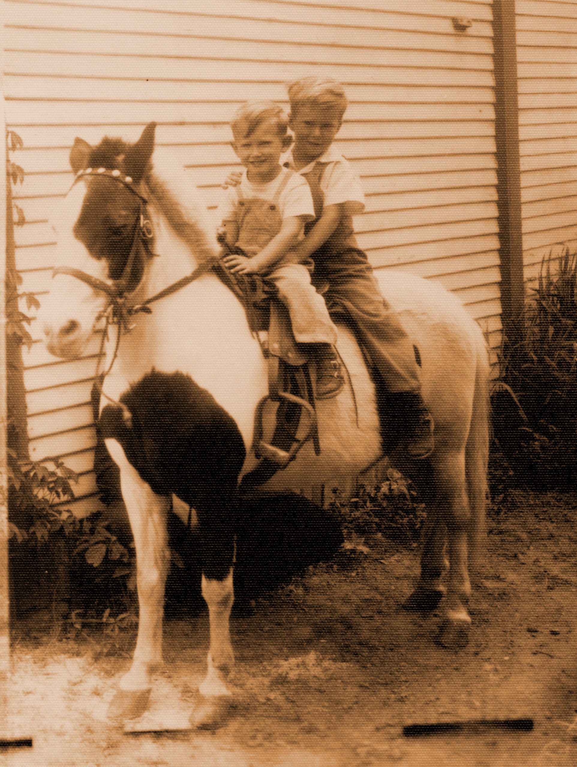 Cartt.ca IN-DEPTH: Broadcasting brothers Peter and Tony Viner - Cartt.ca